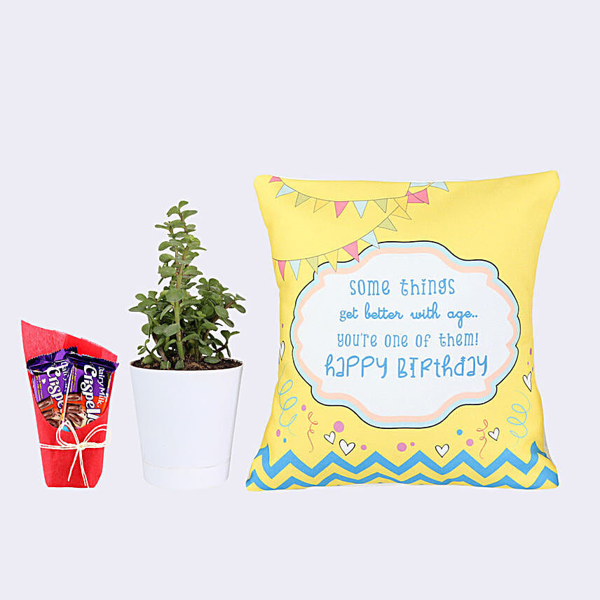 Buy/Send jade plant n hbd cushion y n chocolate Online- FNP
